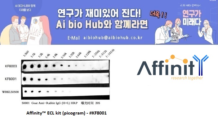 [Affinity Bioscience 공식 대리점]Affinity™ ECL kit (picogram) - (#KF8001 ...